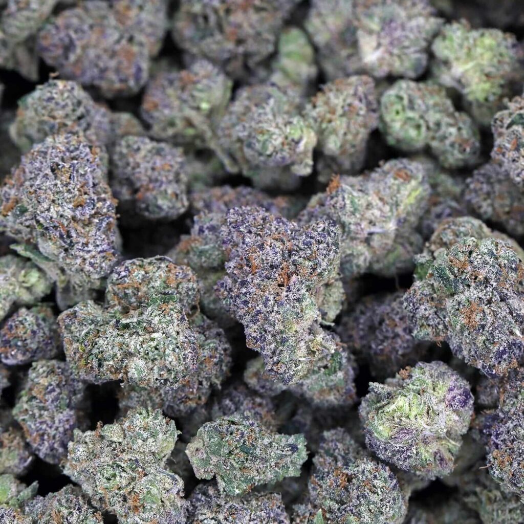 Lemon Cherry Gelato Strain – Flavor, Effects & Growing Guide