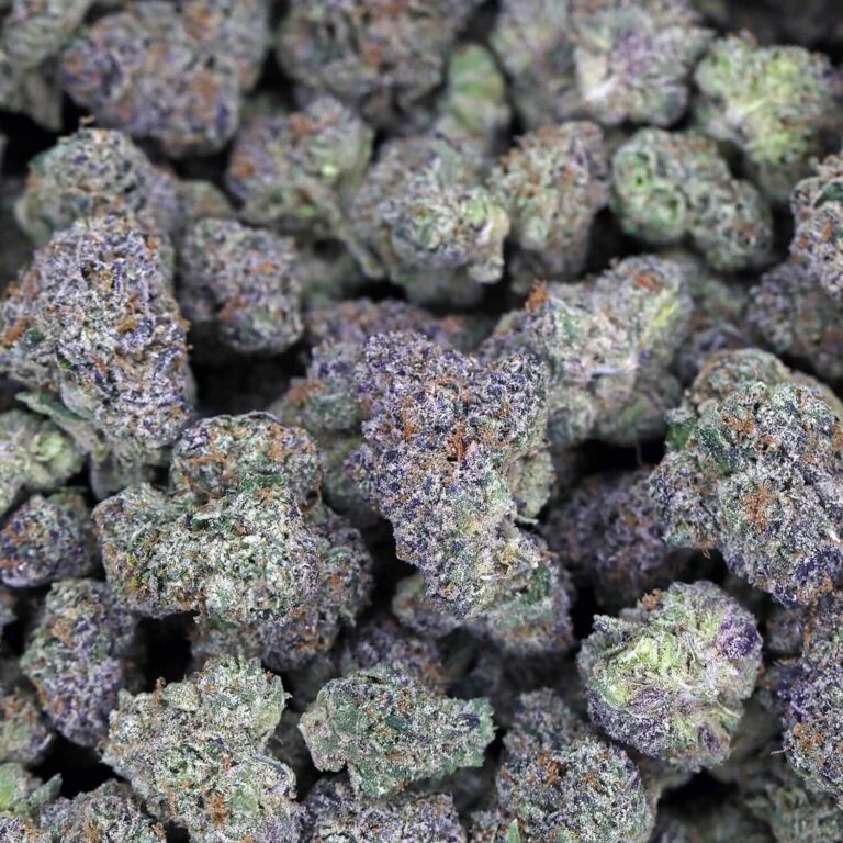 Lemon Cherry Gelato Strain – Flavor, Effects & Growing Guide